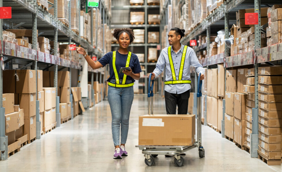NetSuite Shipping Software - Descartes Pacejet